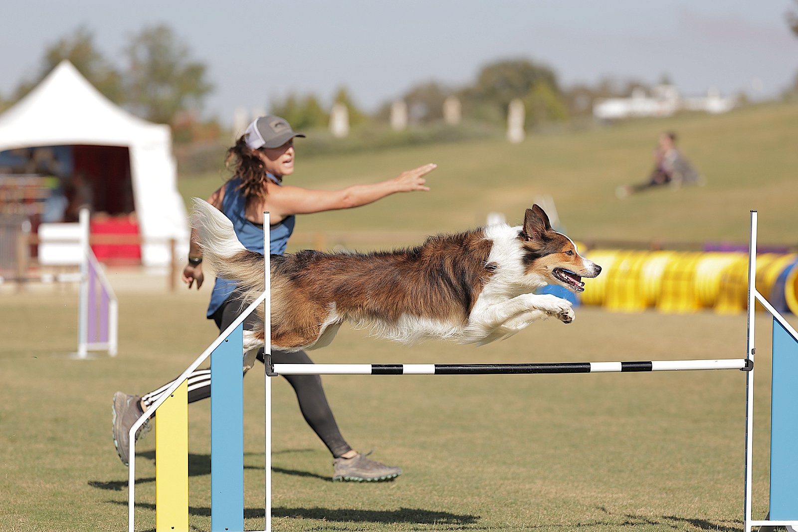 2023 UKI West Coast Open - Paso Robles, CA - dog names A - E - Events ...