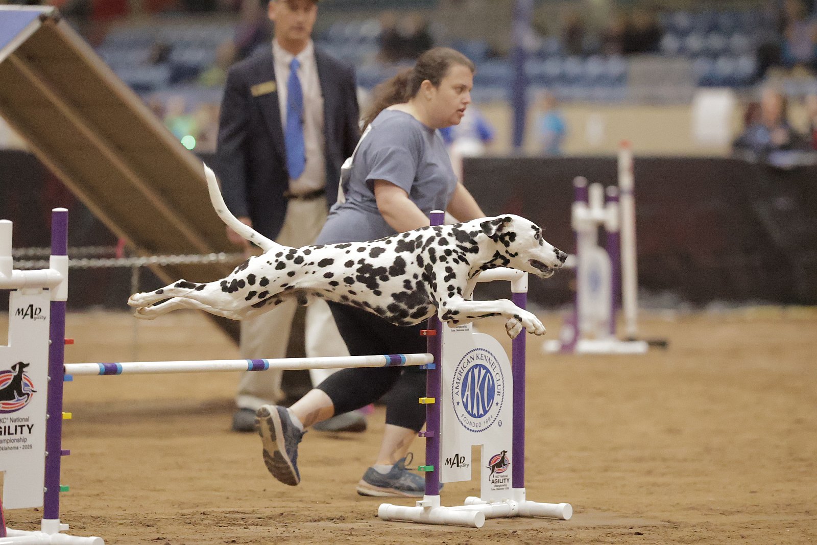 2025 AKC National Agility Championship - Tulsa, OK - Events - AKC ...