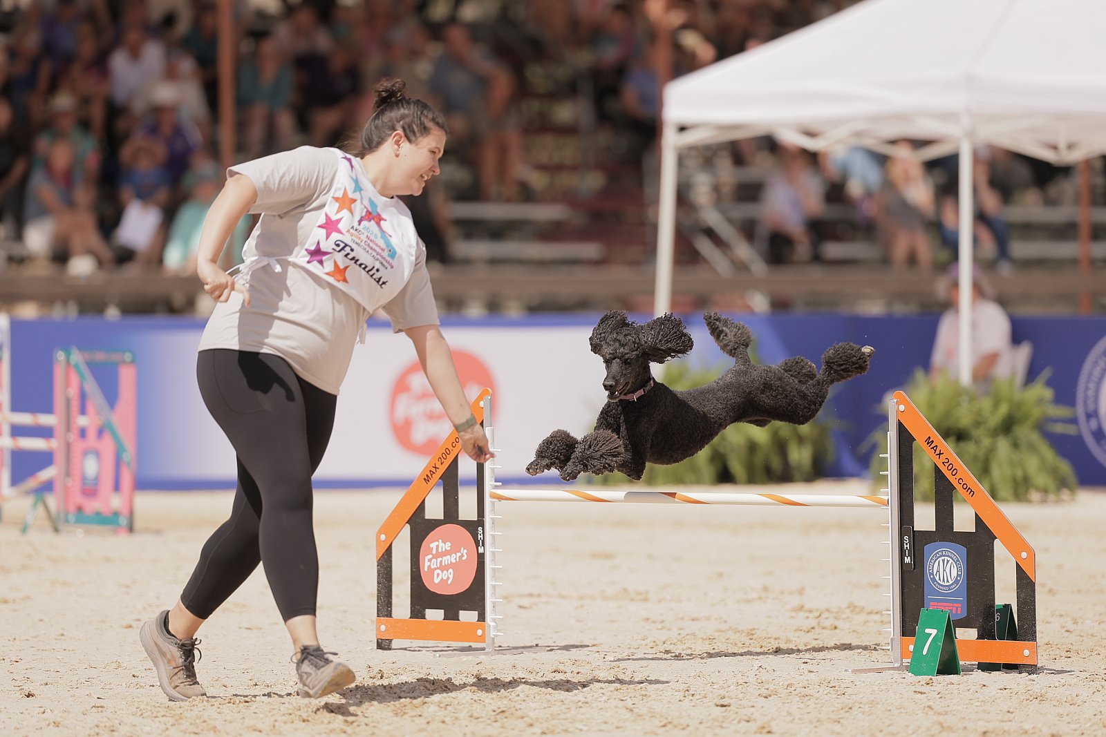 2026 AKC National Agility Championship - Temecula, CA - Events - AKC ...